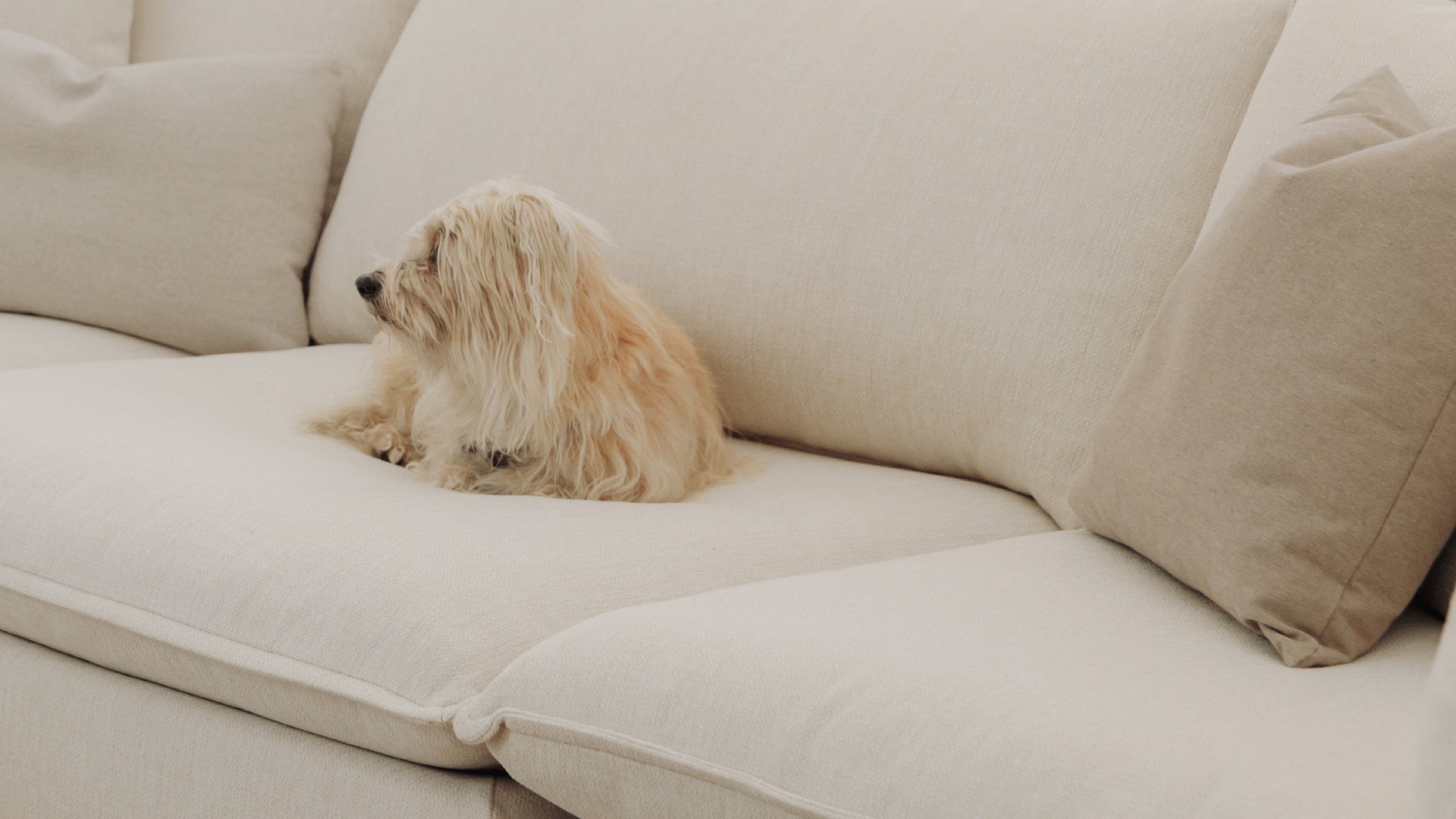 Chill Time 3-Piece Modular Sofa, Birch