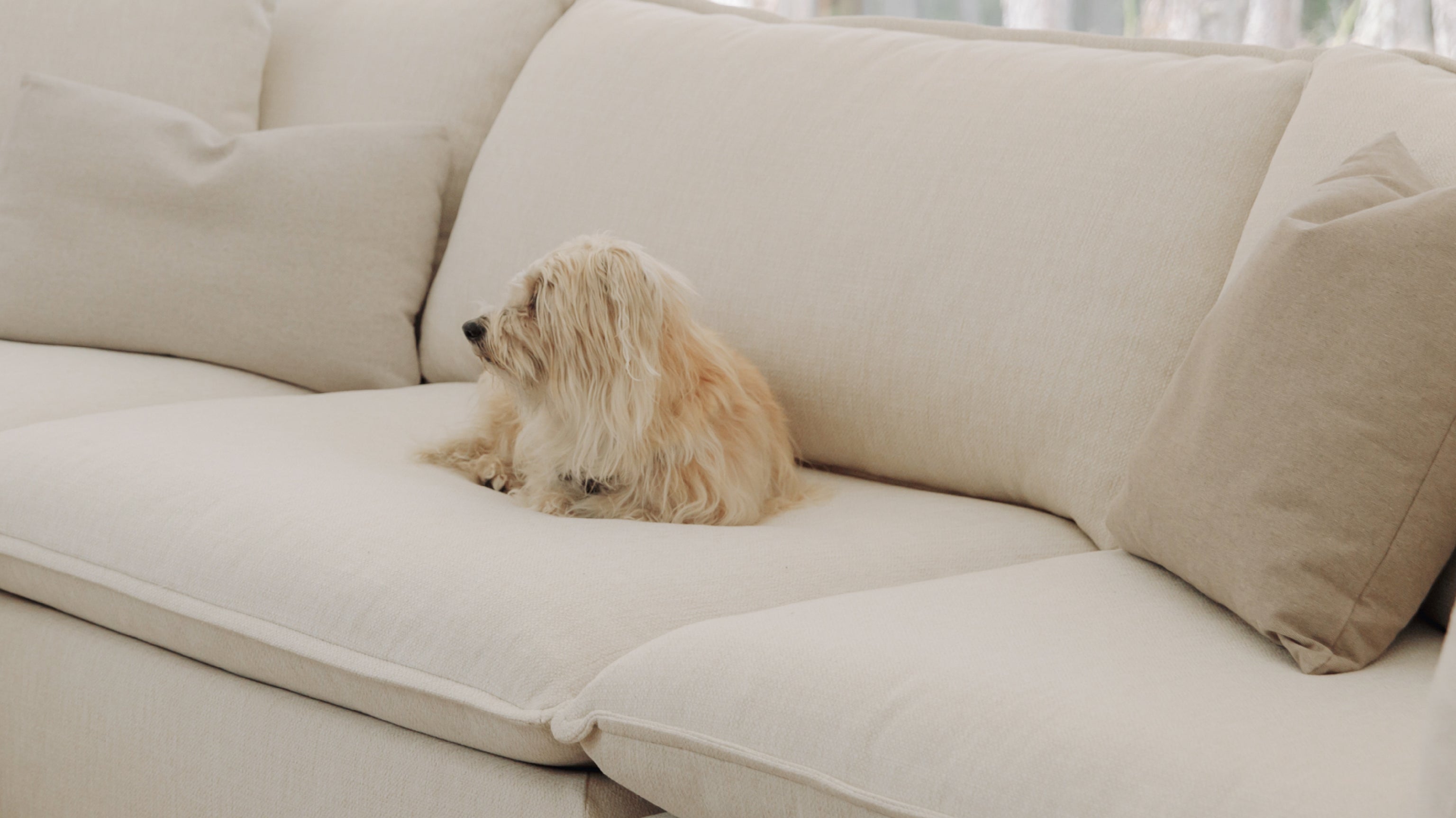 Chill Time 4-Piece Modular Sectional, Birch – Sundays Company