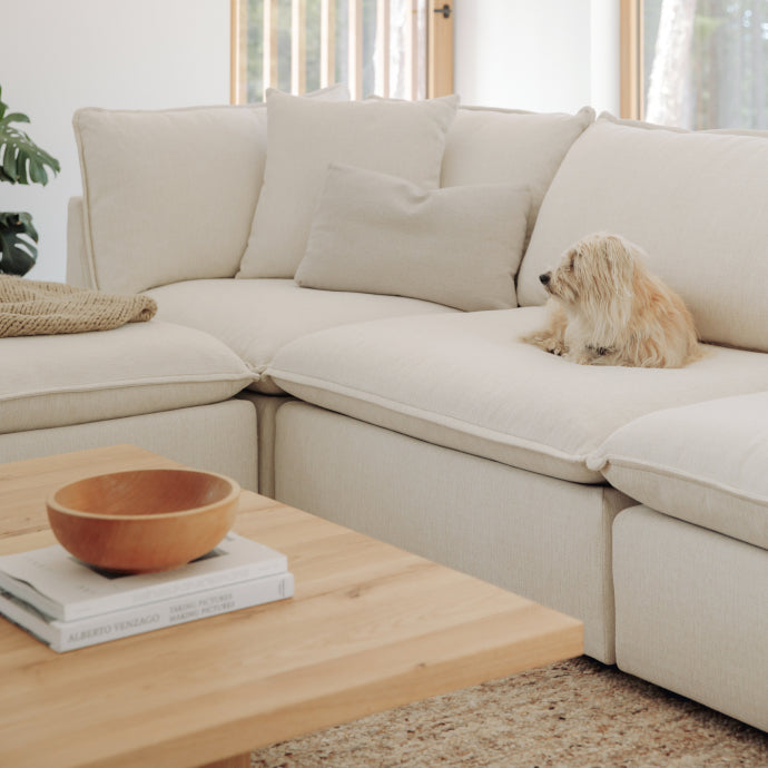 Small Space Sectionals – Sundays Company